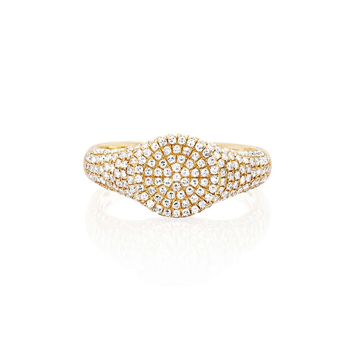 Diamond Signet Ring | 14k Gold | EF Collection — EF Collection®